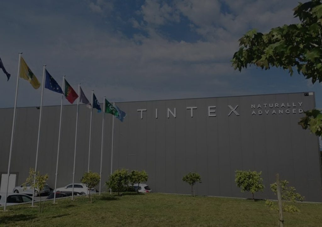 ActiveCap – Golden Visa Investment Funds